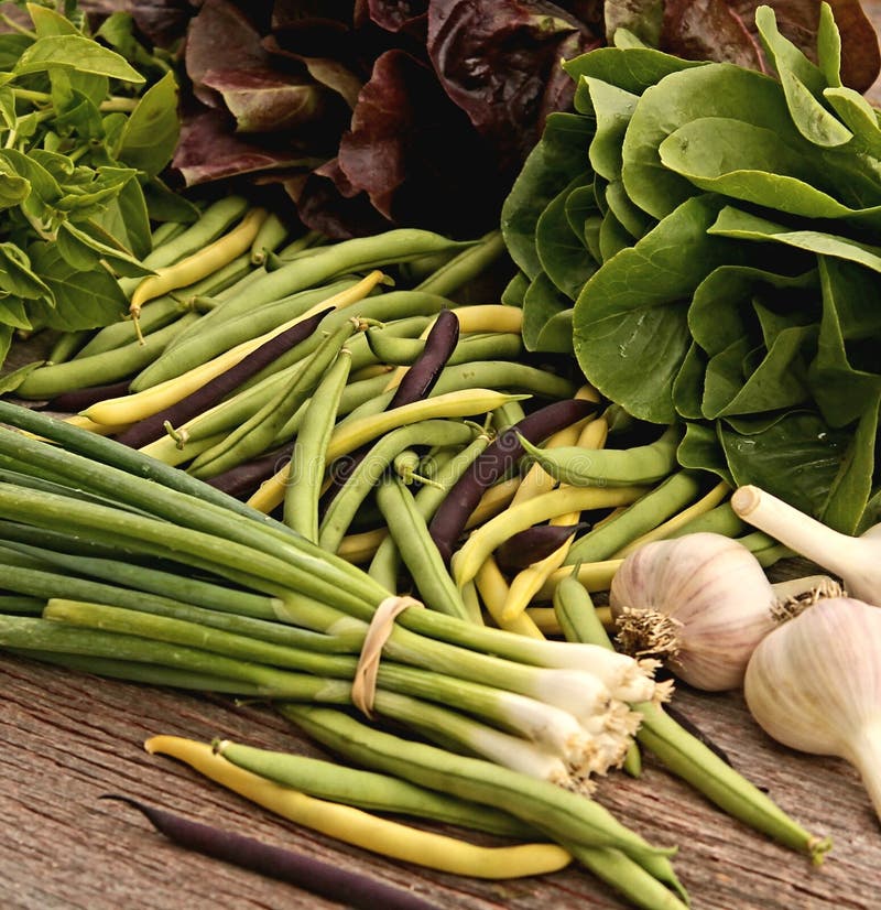 Freshness Portraid in Array of Beautiful and Delicious Healthy Organic ...