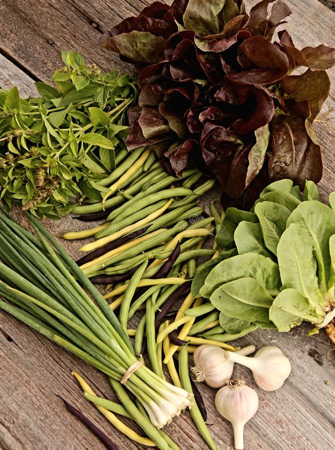 Freshness Portraid in Array of Beautiful and Delicious Healthy Organic ...