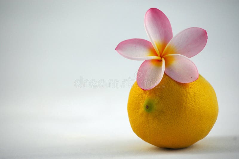 Freshness in spring stock image. Image of beauty, diversity - 2180939