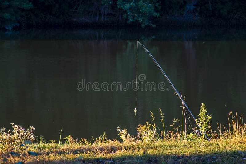 Freshwater Angling with Rods beside a Lake Mist Morning Stock Image ...