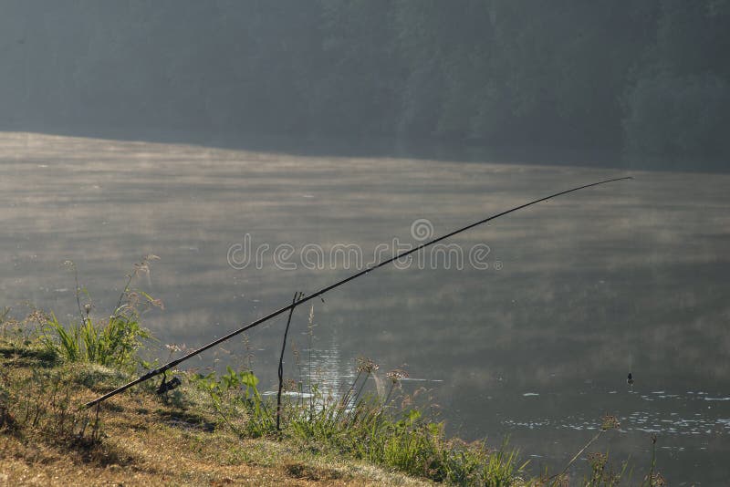 Freshwater Angling with Rods beside a Lake Mist Morning Stock Image ...