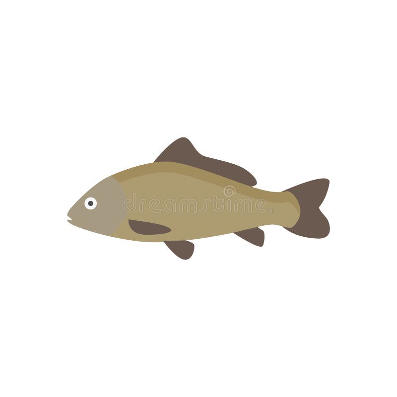 Freshwater Carp Fish Flat Design Vector Illustration Stock Vector ...