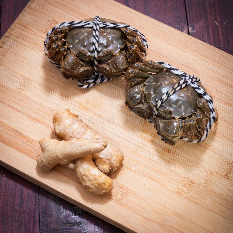 Freshwater crabs stock photo. Image of crab, background - 58975672