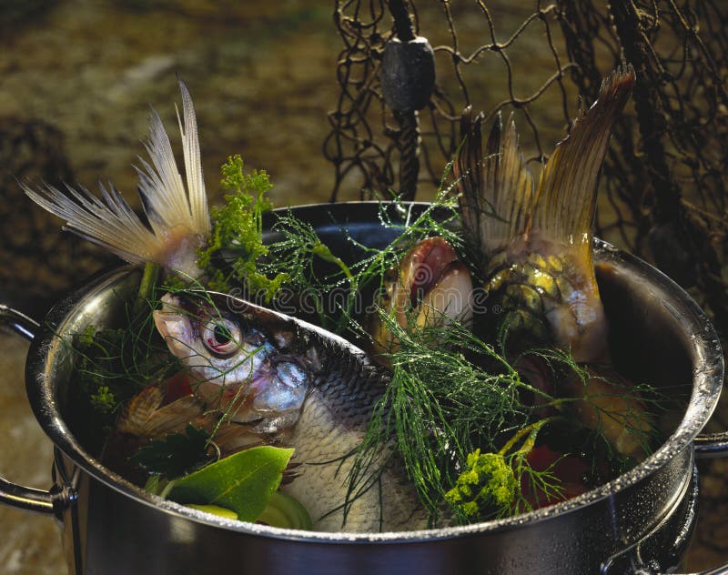 Freshwater fish stock image. Image of 218476, ingredient - 7675423