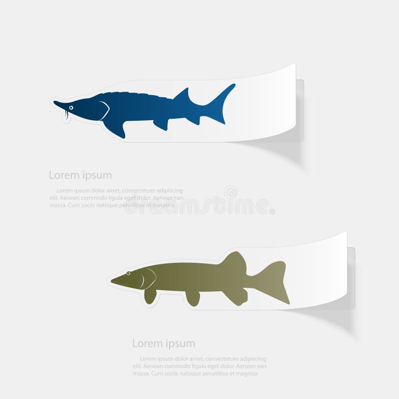 Set of Freshwater Fish with Shadow Flat Concept Stock Vector ...
