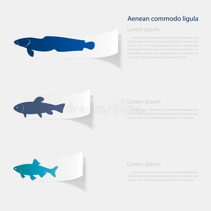 Set of Freshwater Fish with Shadow Flat Concept Stock Vector ...