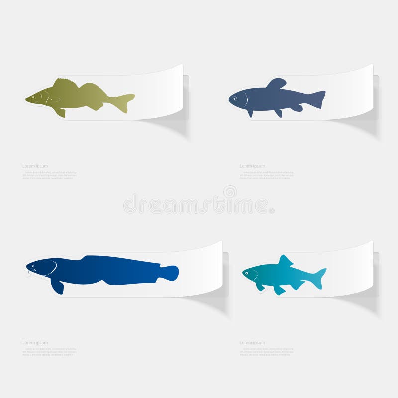 Freshwater Fish. Flat Sticker with Shadow on White Background Stock ...