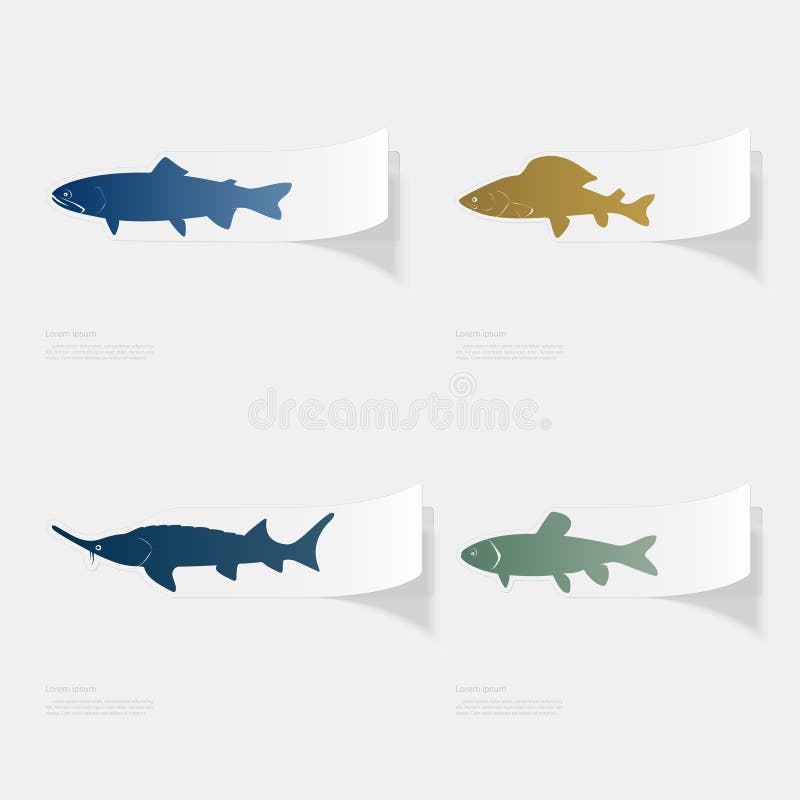 Freshwater Fish. Flat Sticker with Shadow on White Background Stock ...