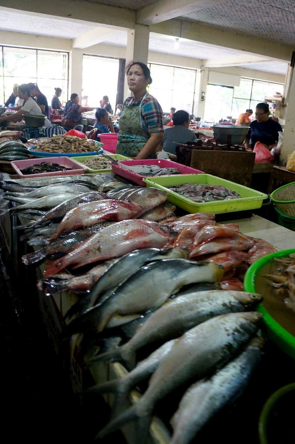 Freshwater fish editorial stock image. Image of freshwater - 47339224