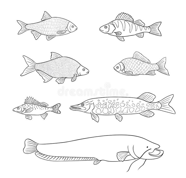 Fish Outlines Stock Illustrations – 1,359 Fish Outlines Stock ...