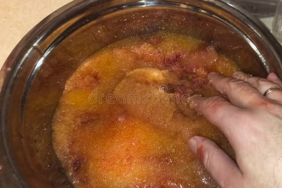 Freshwater Fish Roe in Cup, Raw Fresh Fish Roe Stock Photo - Image of ...