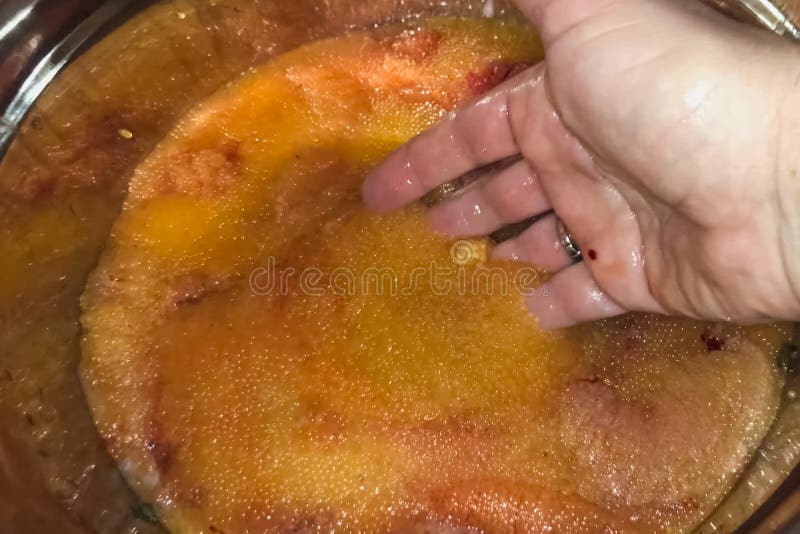 Freshwater Fish Roe in Cup, Raw Fresh Fish Roe Stock Image - Image of ...