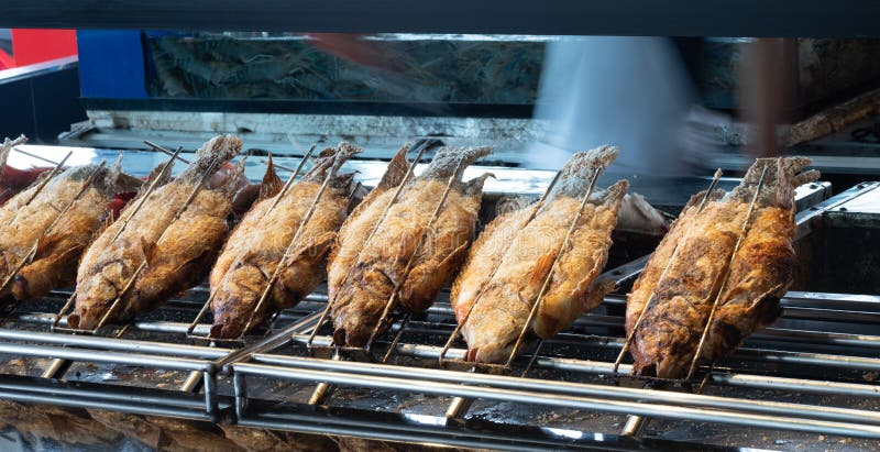 Freshwater Fish with Salt Coating Grilled Over a Wood-burning Fire ...