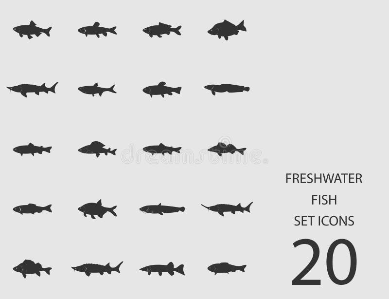 Freshwater Fish. Set of Flat Icons on Blurred Background Stock Vector ...
