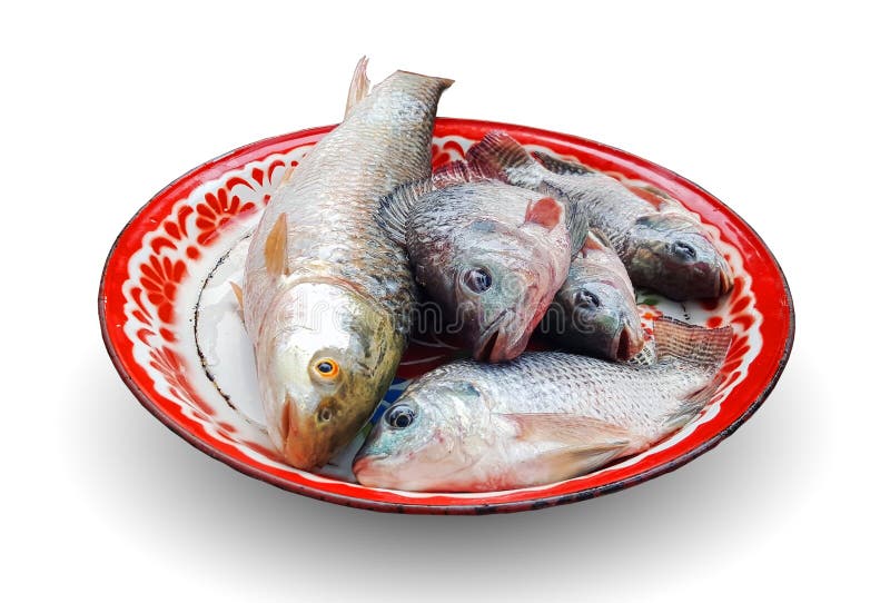 Freshwater Fish in a Tray Ready for Cooking. Stock Image - Image of ...