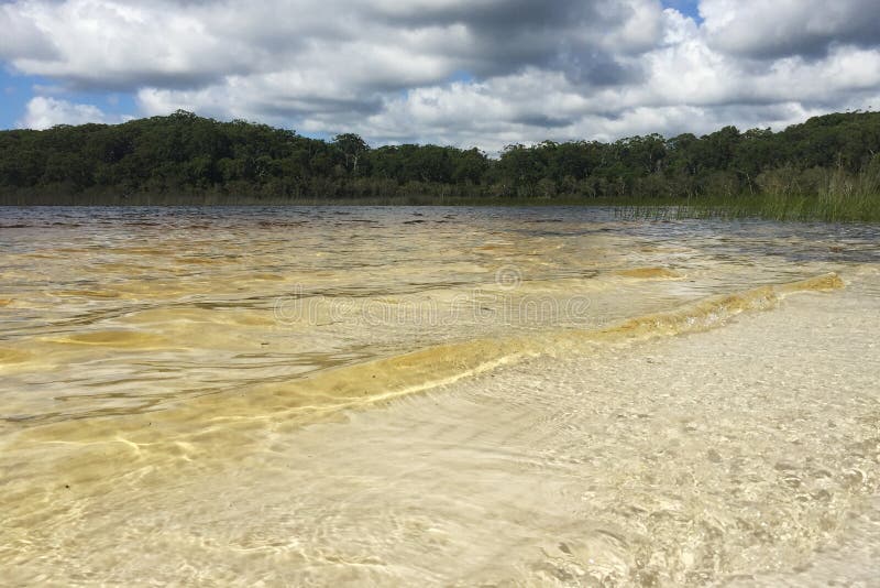 Freshwater Lake, Fraser Island Stock Photo - Image of kgari, butterfly ...