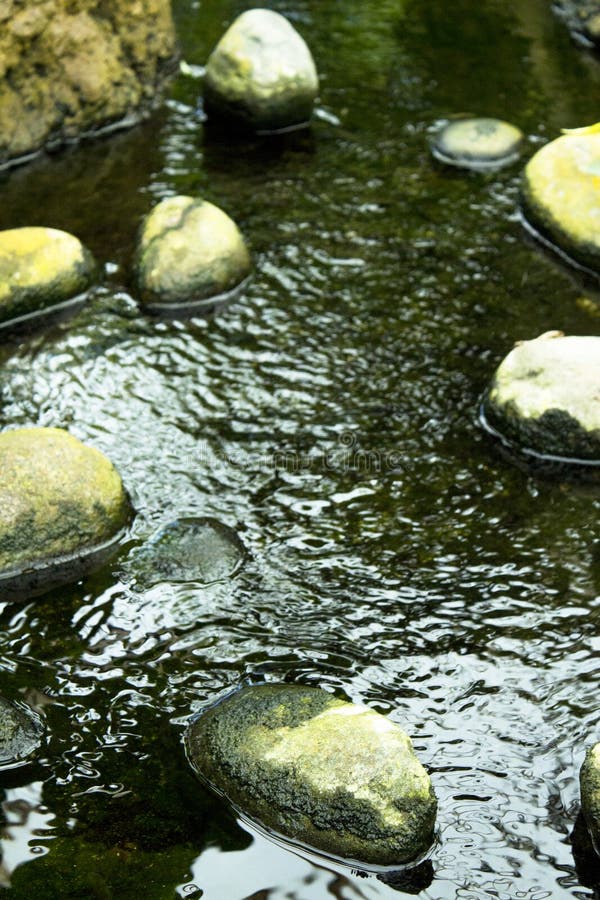 Freshwater Pond with Stones Stock Image - Image of underwater, stone ...
