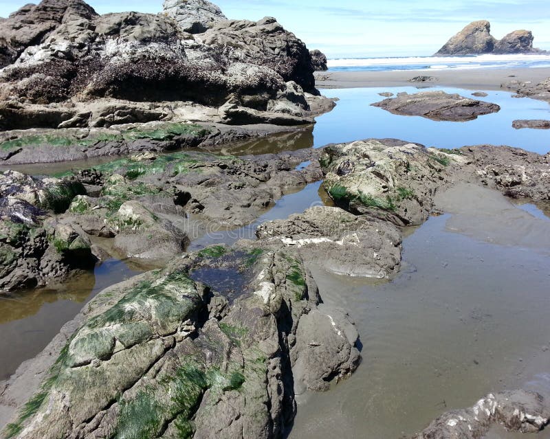 Freshwater Pool on the Beach Stock Photo - Image of ocean, rocks: 93771598