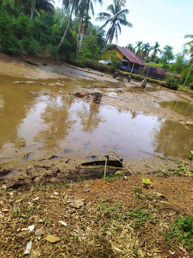 Freshwater pool stock photo. Image of process, pool - 324369750
