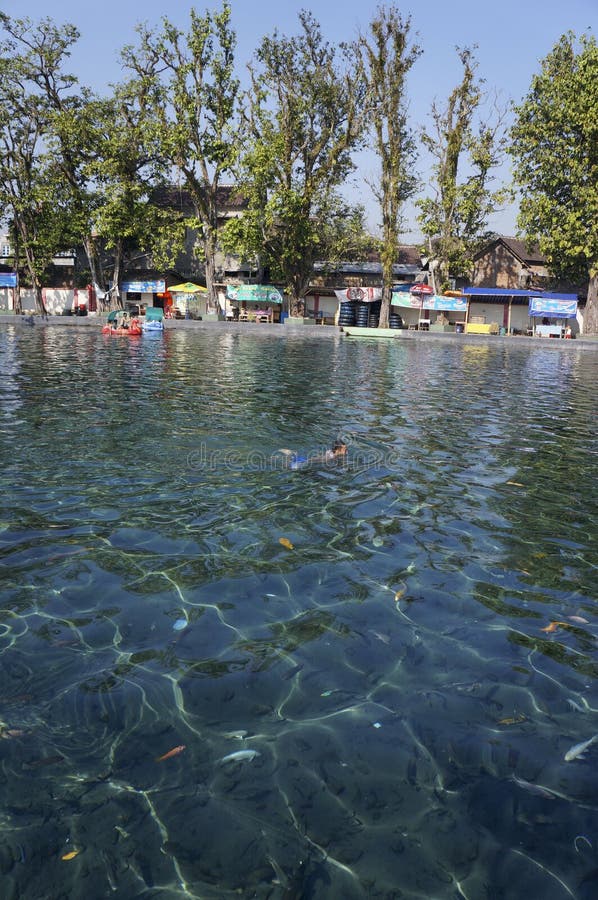 Freshwater spring editorial photo. Image of landscape - 76067131