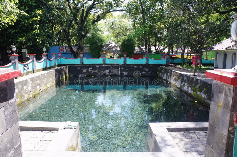 Freshwater springs editorial stock image. Image of solo - 48581719