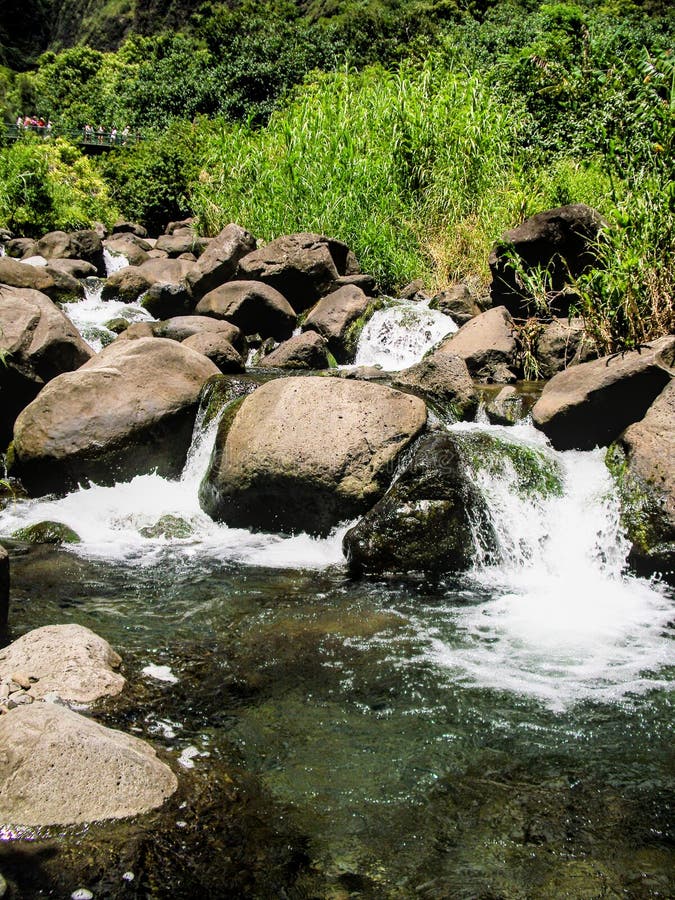 Freshwater Stream Cascading Over Rocks with Dense Vegetation Stock ...