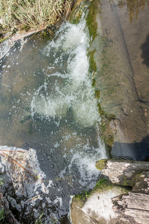 Freshwater Stream 4 stock image. Image of washington - 57795193