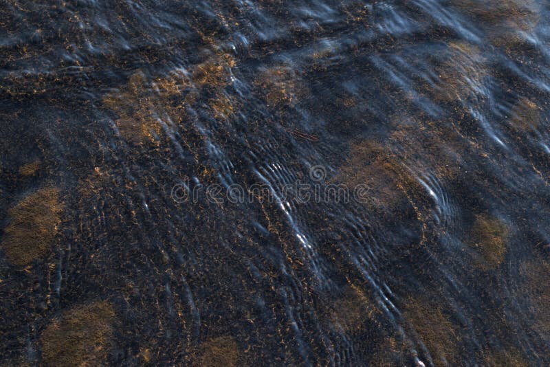 Freshwater Stream, Texture in Closeup. Stock Photo - Image of landscape ...