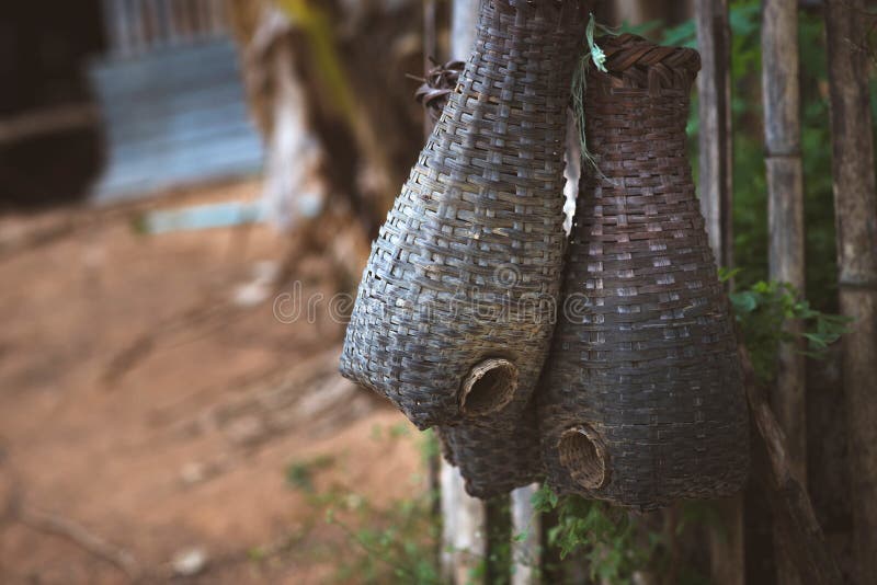 Freshwater traps such stock photo. Image of bamboo, fish - 155884786