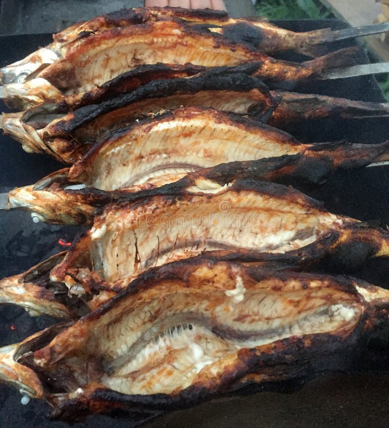Freshwater Whitefish Coregonus Lavaretus at Lake Sevan Stock Image ...