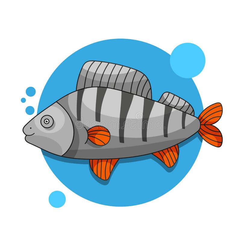 Freshwater Yellow Perch Illustration Art Graphic Design File Stock ...