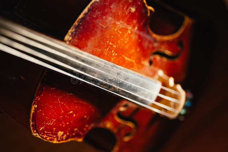 Cello, and female feet stock photo. Image of vertical - 25878286
