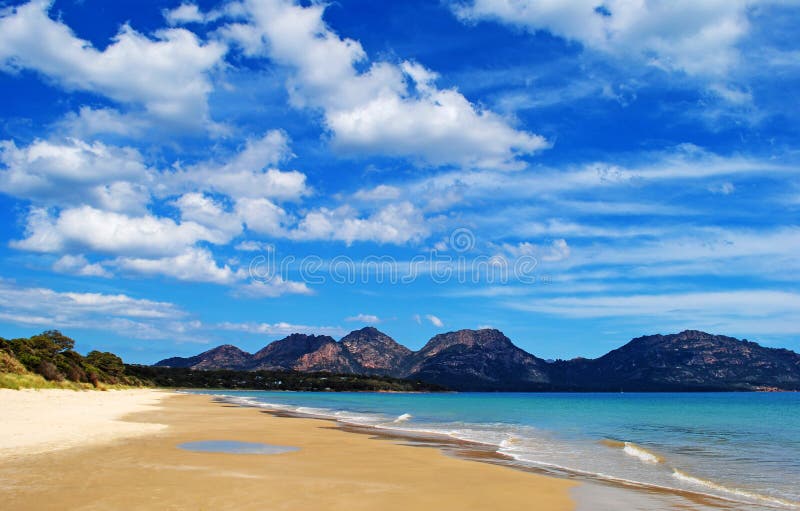 Ringtail possum stock image. Image of outdoors, camping - 12021197 Ringtail possum stock image. Image of outdoors, camping - 12021197