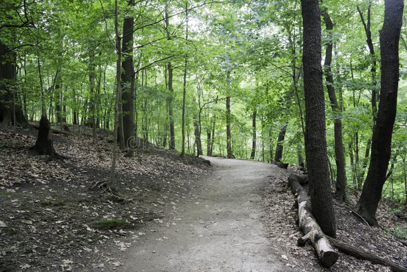 Frick Park in Pittsburgh in the Spring. Stock Image - Image of outside ...