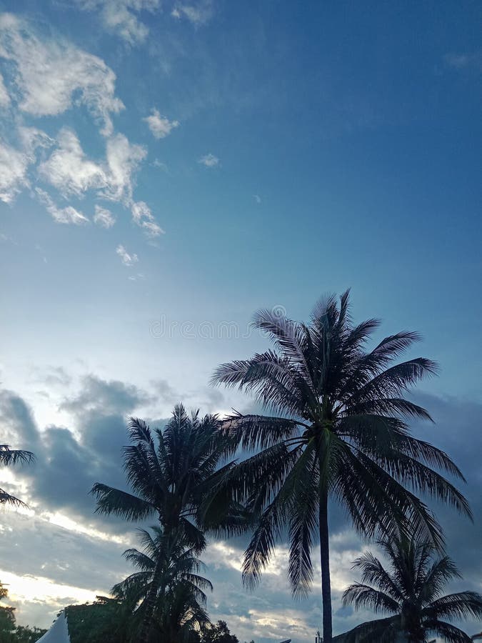 Friday Afternoon in Balikpapan Stock Photo - Image of beach, branch ...