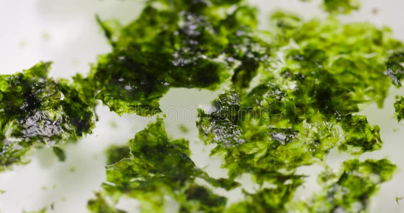 Thin Fried Green Algae Float in the Water Stock Video - Video of ...