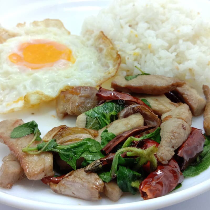 Fried basil with pork, stock image. Image of pork, fried - 135396513