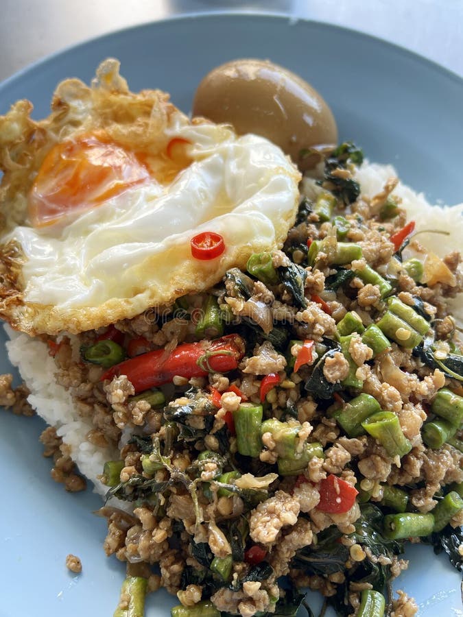 Fried Basil and Pork with Egg on Hot Rice Stock Photo - Image of lunch ...
