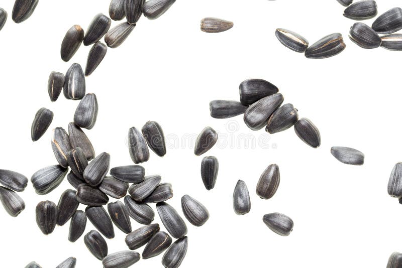 Fried Black Seeds Isolated on White Background Stock Photo - Image of ...