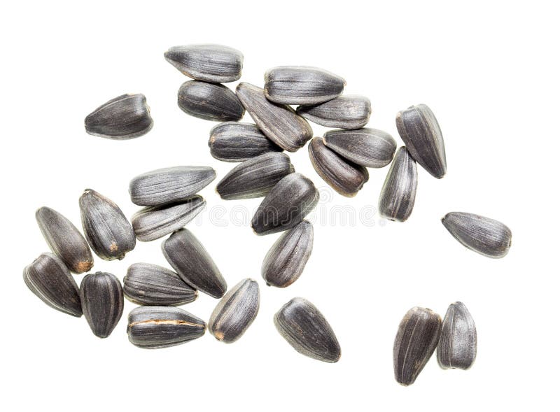 Fried Black Seeds Isolated on White Background Stock Image - Image of ...
