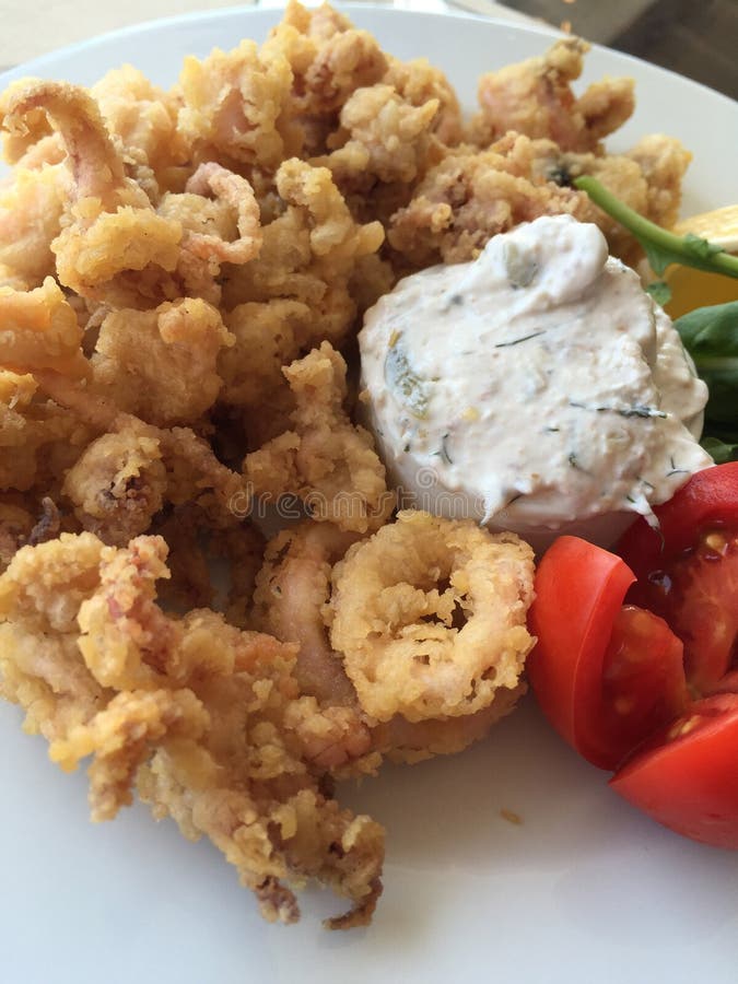 Calamari on the plate stock photo. Image of mediterranean - 57237564