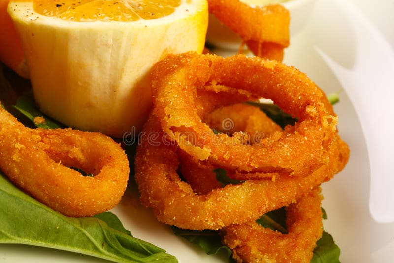 Seafood - Fried Calamari stock image. Image of appetizer - 6478171