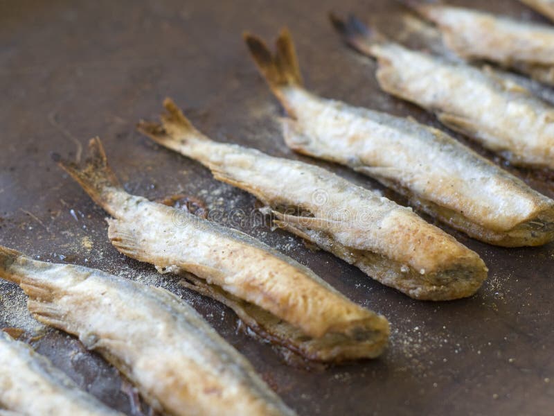 Fried capelin stock photo. Image of phosphorus, eating - 51999534