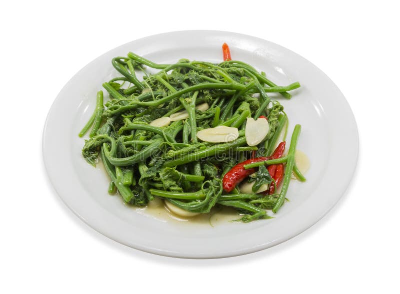 Fried Chayote Sprout with Chili on Plate Stock Image - Image of pepper ...