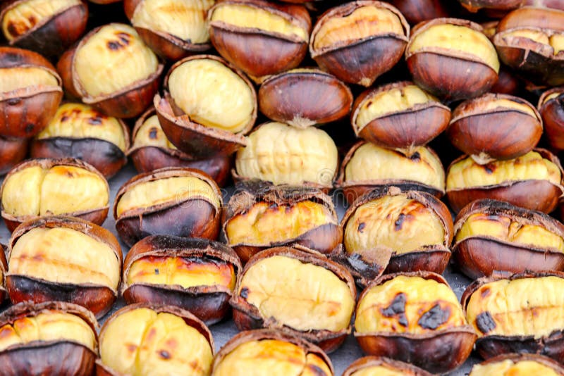 Fried Chestnut stock image. Image of roast, edible, vegetarian - 100789285