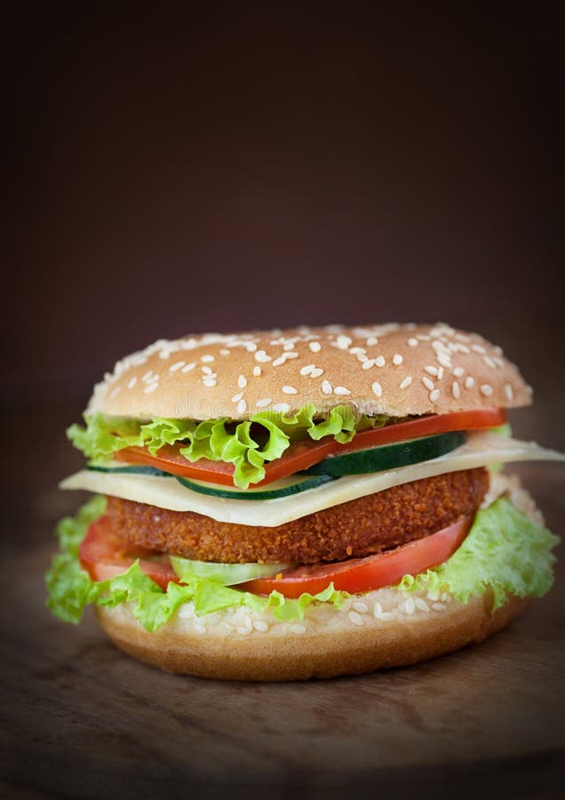 Burger series stock image. Image of attractive, frites - 4834603