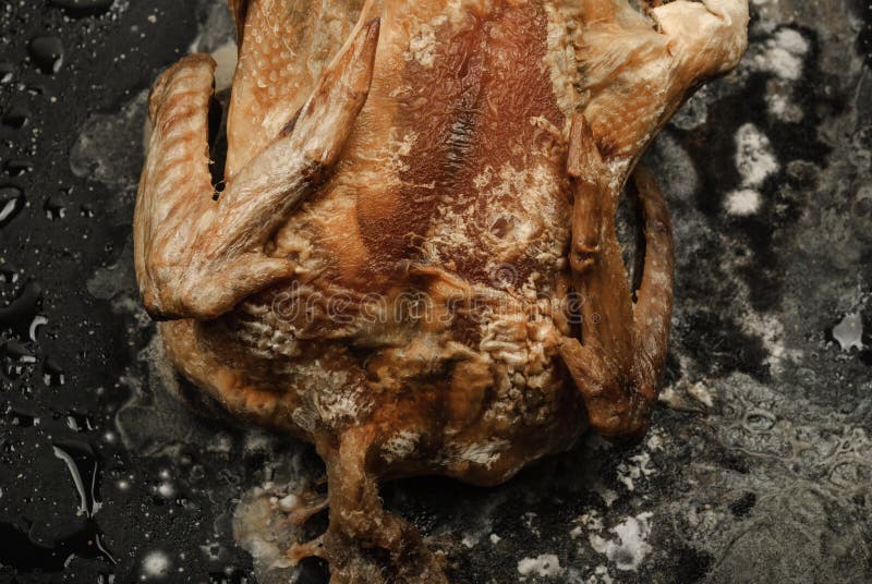 Fried chicken moldy stock photo. Image of calories, harmful - 90383588
