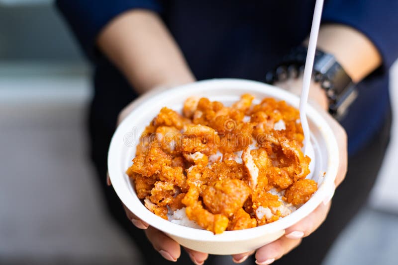 Fried chicken over rice stock photo. Image of spoon - 143929514