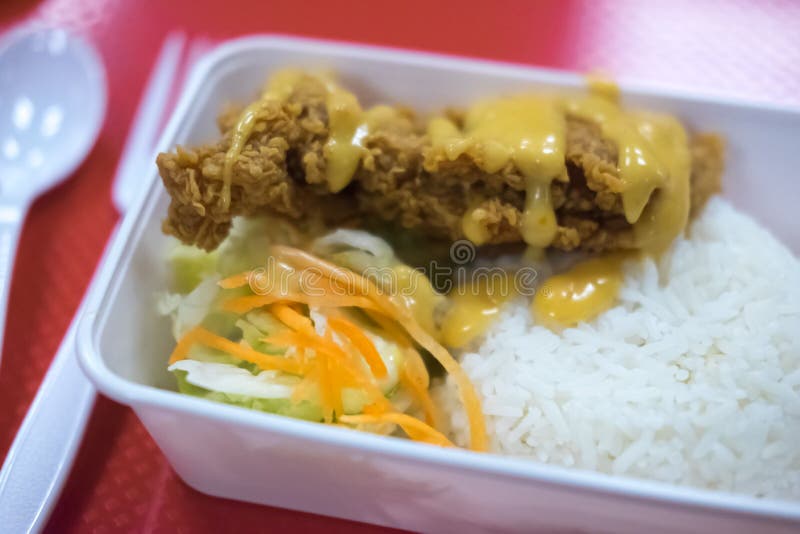 Fried Chicken on Rice Bento Packed Stock Image - Image of meal ...