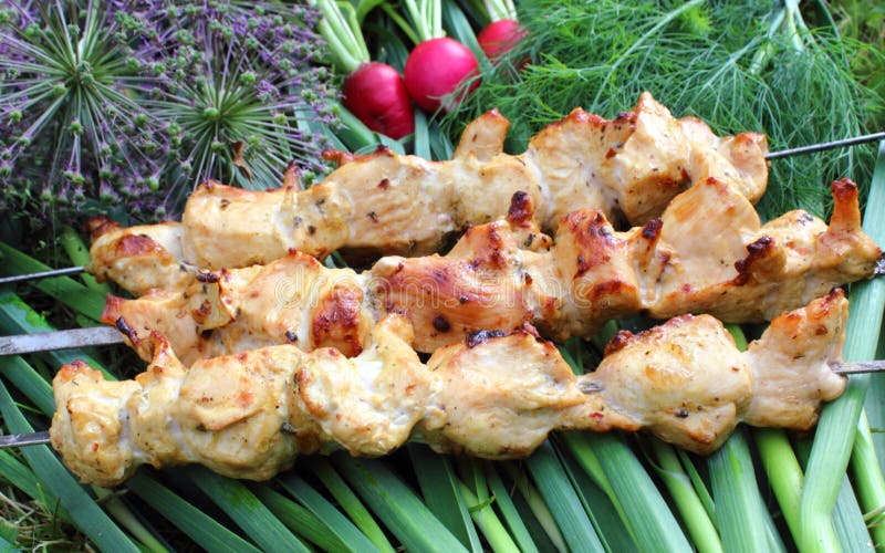 Fried chicken shashlik stock photo. Image of picnic, roasted - 25241276